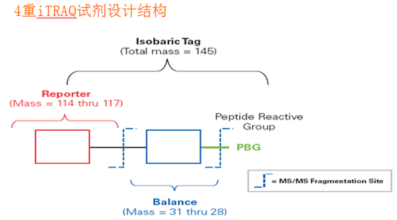 iTRAQ技术流程及详细步骤 - 企业动态 - 丁香通