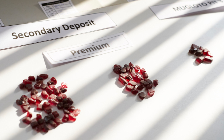 『珠宝』全球一周：戴安娜王妃曾佩戴的 Garrard 十字架挂坠即将拍卖；Gemfields 2022年红宝石原石拍卖总额破纪录 ...