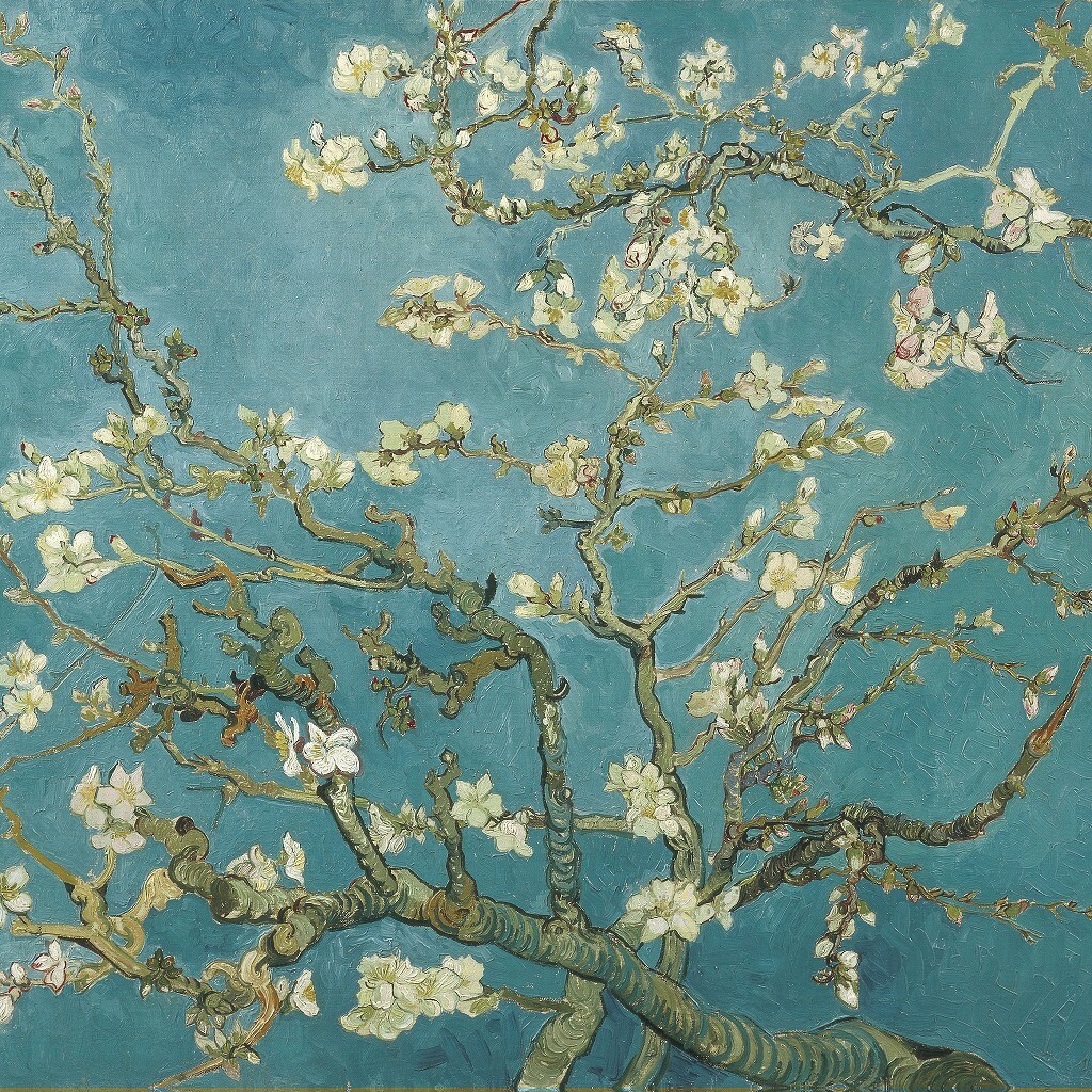 Almond Blossom 梵高作品：《盛开的杏树》，创作于1890年 -花瓣网