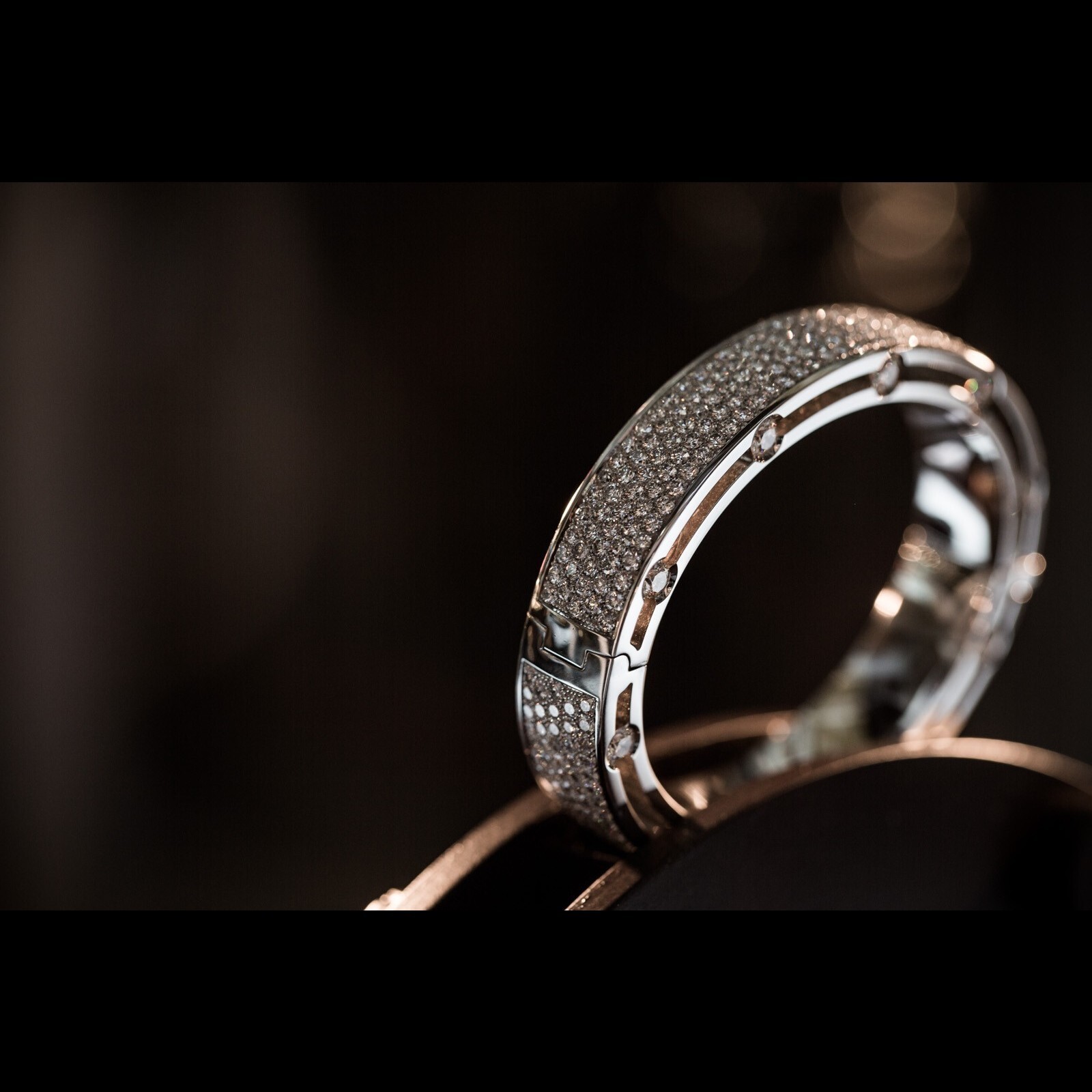 Damiani: 90 years of Passion and excellence | iDaily Jewelry · 每日珠宝杂志