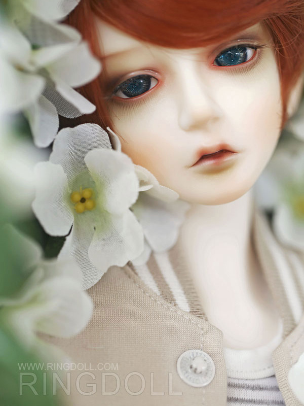 New Doll - Ringdoll released new doll Moon and Diyue Style-B in 1/3 ...