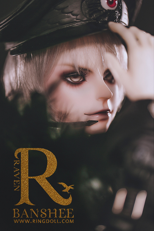 Update - Ringdoll new grown Raven is coming!Add video! | Den of Angels